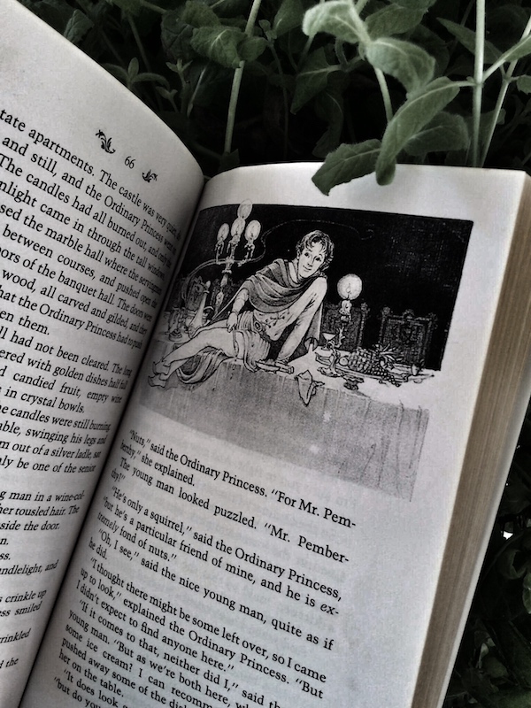 The Ordinary Princess – A.R. Geiger